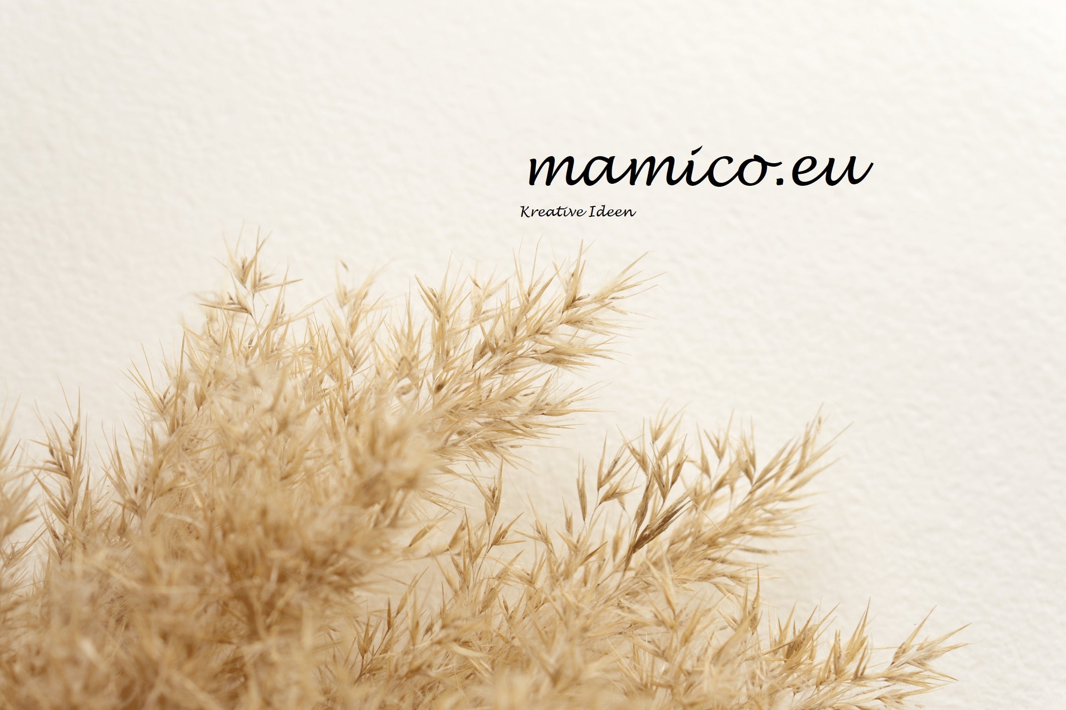 Personalisierter Geschenke für alle Anlässe | Mamico